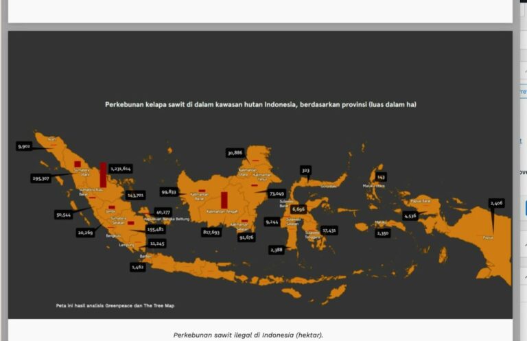 Organisasi Lingkungan Ingatkan Bahaya Pemutihan Kebun Sawit dalam ... Organisasi Lingkungan Ingatkan Bahaya Pemutihan Kebun Sawit dalam ...