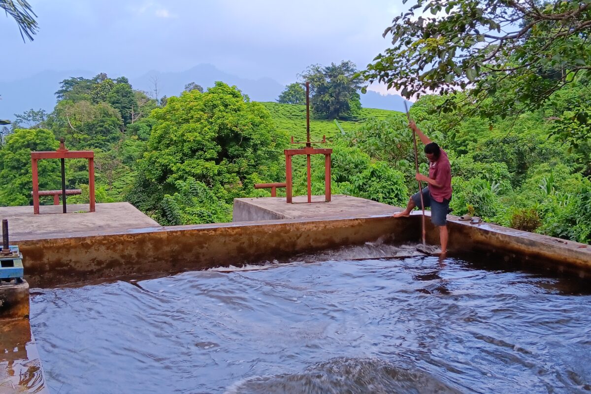 Mikro Hidro Korong Wonorejo, Tak Sekadar Mandiri Energi